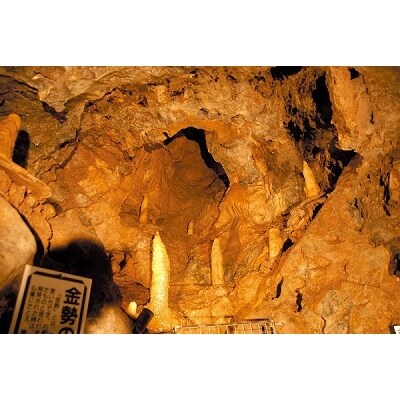 小平の里 手作りまんじゅう体験&鍾乳洞・水車保存館見学 2名様【55】 | 群馬県みどり市 | ふるさと納税サイト「さとふる」