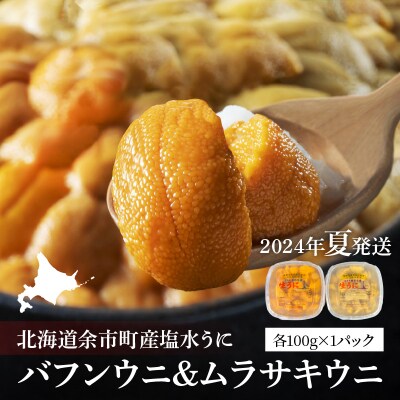 塩水ウニ【バフンウニ&ムラサキウニ】各100g×1パック 2024年夏発送 _Y037-0253 | お礼品詳細 | ふるさと納税なら「さとふる」