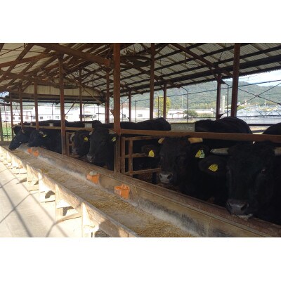 博多和牛 ロースサイコロステーキ用400g(春日市) | お礼品詳細 | ふるさと納税なら「さとふる」