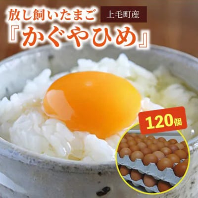 【2ヵ月毎定期便】放し飼いたまご『かぐやひめ』120個 全6回 | 福岡県上毛町 | ふるさと納税サイト「さとふる」