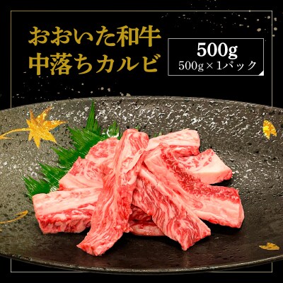 厳選A4～A5等級 おおいた和牛 中落ちカルビ 500g_A01133 | お礼品詳細 | ふるさと納税なら「さとふる」