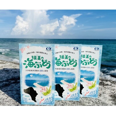 球美の海ぶどう塩水漬け(50g×3箱) | お礼品詳細 | ふるさと納税なら「さとふる」