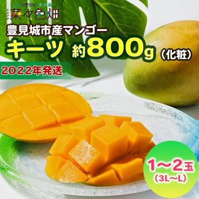 【2022年発送】キーツ約800g(化粧) | お礼品詳細 | ふるさと納税なら「さとふる」