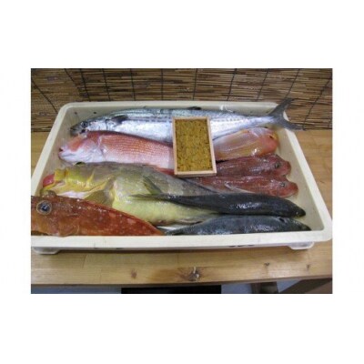 山口県漁協大海の海の幸セット(年6回コース) A-004 | お礼品詳細 | ふるさと納税なら「さとふる」