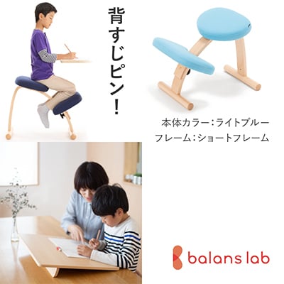 バランスイージー ショート[ライトブルー]+イージーライティングボードL【複数個口で配送】 | 岐阜県美濃市 | ふるさと納税サイト「さとふる」