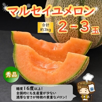 【先行受付】マルセイユメロン約3kg前後《秀品》(5L～3L 2～3玉入) | 福井県あわら市 | ふるさと納税サイト「さとふる」