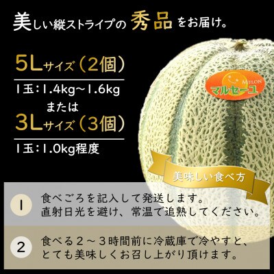 【先行受付】マルセイユメロン約3kg前後《秀品》(5L～3L 2～3玉入) | 福井県あわら市 | ふるさと納税サイト「さとふる」
