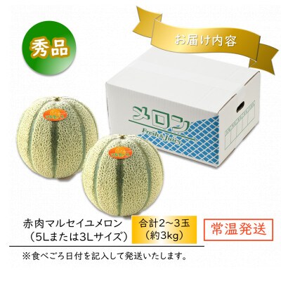 【先行受付】マルセイユメロン約3kg前後《秀品》(5L～3L 2～3玉入) | 福井県あわら市 | ふるさと納税サイト「さとふる」
