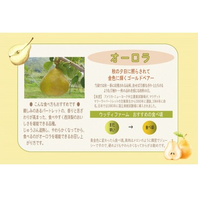 西洋梨(オーロラ)3kg 7玉 5L～6L 特秀品 0062-2307 | お礼品詳細 | ふるさと納税なら「さとふる」