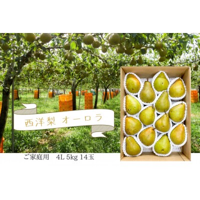 西洋梨(オーロラ)5kg 14玉 4L ご家庭用 0062-2305 | お礼品詳細 | ふるさと納税なら「さとふる」
