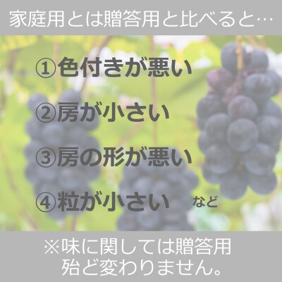 岡山 花笑み農園のブドウ『BKシードレス』家庭用2kg BK-2家 | 岡山県真庭市 | ふるさと納税サイト「さとふる」