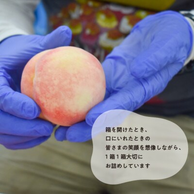 【2025年発送】岡山県から産地直送!もも好きのあなたに!旬採り桃 ご家庭用 5-7玉 | 岡山県津山市 | ふるさと納税サイト「さとふる」