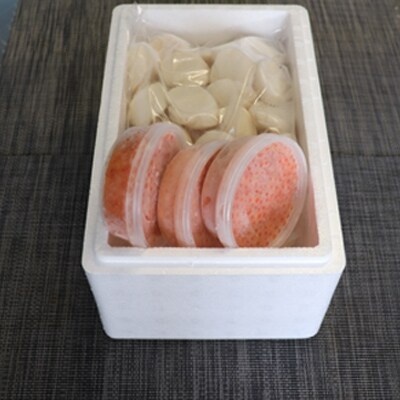 いくら醤油漬け100g×3P、ほたて貝柱500g×2P C-36041 | お礼品詳細 | ふるさと納税なら「さとふる」