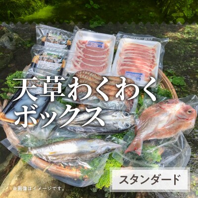 天草わくわくボックススタンダード_S059-011 | お礼品詳細 | ふるさと納税なら「さとふる」