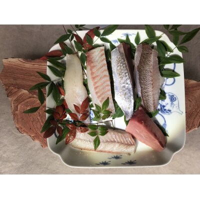天草わくわく旬魚刺身づくし(さく)5～6人前_S059-014 | お礼品詳細 | ふるさと納税なら「さとふる」