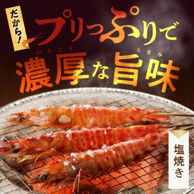 特大 車エビ 2パック セット_S059-020A | 熊本県天草市 | ふるさと納税サイト「さとふる」