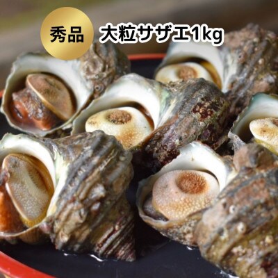 秀品サザエ1kg 刺身・生食可(CAS冷凍で新鮮)大粒約6〜7コ | お礼品詳細 | ふるさと納税なら「さとふる」