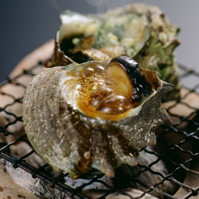 秀品サザエ1kg 刺身・生食可(CAS冷凍で新鮮)大粒約6〜7コ | お礼品詳細 | ふるさと納税なら「さとふる」