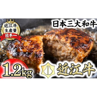 近江牛100% プレミアム生ハンバーグ1.2kg(約120g×10個)個包装 プレゼントにも | 滋賀県近江八幡市 | ふるさと納税サイト「さとふる」