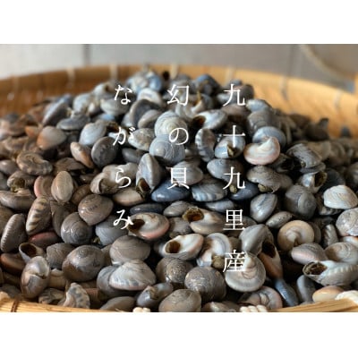 九十九里産!釜茹で「ながらみ」2kg(1kg×2P) | 千葉県旭市 | ふるさと納税サイト「さとふる」