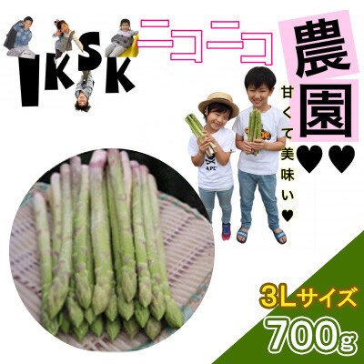 【朝採り直送】夏芽グリーンアスパラガス(3L) 700g BT05 | 福岡県大木町 | ふるさと納税サイト「さとふる」