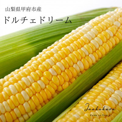 2023年6月順次発送予定!【山梨県甲府市産】Inakakaraドルチェドリーム6本 | お礼品詳細 | ふるさと納税なら「さとふる」