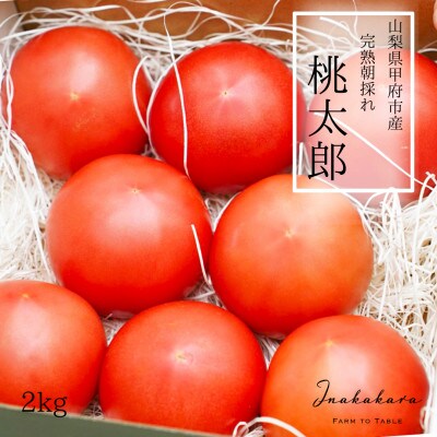 2023年4月中旬より順次発送!【山梨県甲府市産】Inakakara桃太郎トマト2kg | お礼品詳細 | ふるさと納税なら「さとふる」