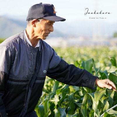 2023年6月より順次発送予定!Inakakaraの「きみひめ」&「おおもの」計6本入 | お礼品詳細 | ふるさと納税なら「さとふる」