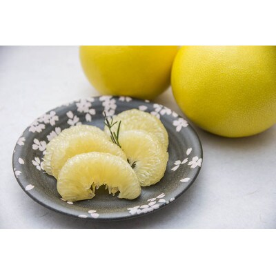 土佐文旦大玉(4L、3L)サイズ4.5kg | 高知県土佐市 | ふるさと納税サイト「さとふる」