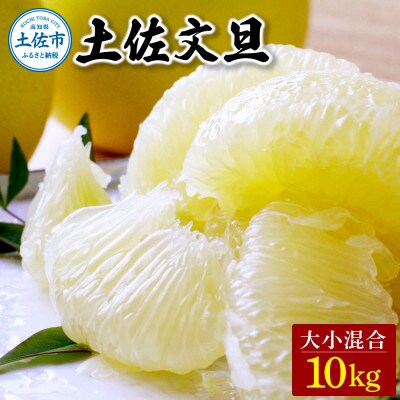 やの一果彩の園主こだわり土佐文旦10k 大小混合(4L～Mサイズ)【2024年1月下旬～発送予定】 | お礼品詳細 | ふるさと納税なら「さとふる」