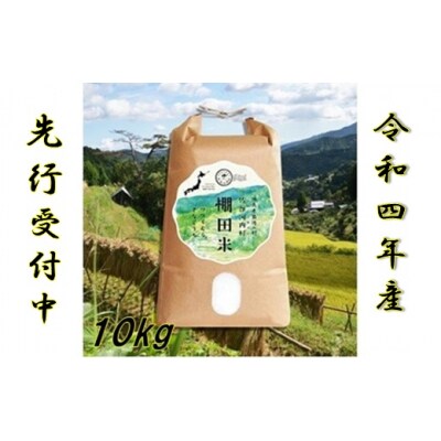”清流と寒暖差が生む”村自慢の棚田米 10kg ※2022年10月頃から発送 | お礼品詳細 | ふるさと納税なら「さとふる」