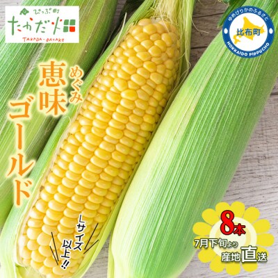 ふれあいファームたかだ畑 とうもろこし「恵味ゴールド」8本入り | 北海道比布町 | ふるさと納税サイト「さとふる」