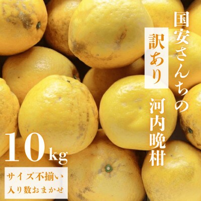 《果汁たっぷりジューシー》産地直送 愛媛八幡浜産 訳あり 河内晩柑10kg【D20-72】 | 愛媛県八幡浜市 | ふるさと納税サイト「さとふる」