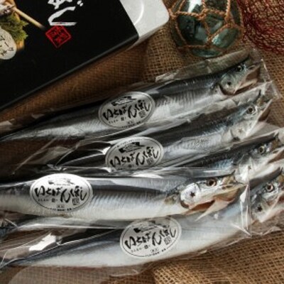 北海道産 さんまのいちばんぼし★ 10尾 ふるさと納税 魚 F4F-1113 | お礼品詳細 | ふるさと納税なら「さとふる」