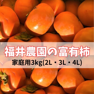 福井農園の富有柿ご家庭用3kg(10～12個入り)2L、3L、4Lサイズ | 岐阜県本巣市 | ふるさと納税サイト「さとふる」