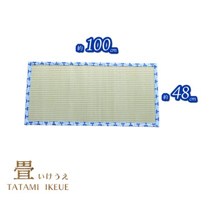 ラブござ(やまもも柄) | 高知県いの町 | ふるさと納税サイト「さとふる」