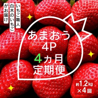 【4ヵ月定期便】いちご職人 白木のいちご あまおう 1.2kg(300g×4P) 4回コース | お礼品詳細 | ふるさと納税なら「さとふる」