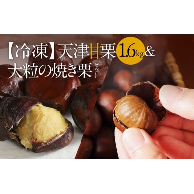 【冷凍】天津甘栗1.6kg&大粒の焼き栗セット H045-040 | お礼品詳細 | ふるさと納税なら「さとふる」