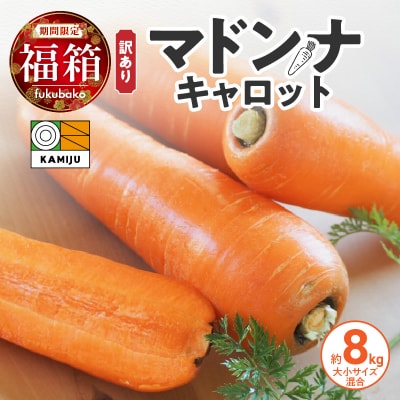 (某テレビ番組で紹介されました!) おもいのフライパン 20cm H051-172 | 愛知県碧南市 | ふるさと納税サイト「さとふる」