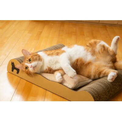 ねむりや×鈴木紙器 【ふわぽか♡にゃんバリ】 ゴミの出ない爪研ぎ H162-039 | 愛知県碧南市 | ふるさと納税サイト「さとふる」