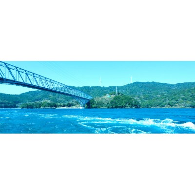 【本格焼酎】 さつま島美人1800ml(紙パック6本セット) | お礼品詳細 | ふるさと納税なら「さとふる」