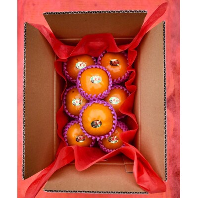 【家庭用】太秋柿 約3kg(3～4L大玉 8～9玉) | お礼品詳細 | ふるさと納税なら「さとふる」