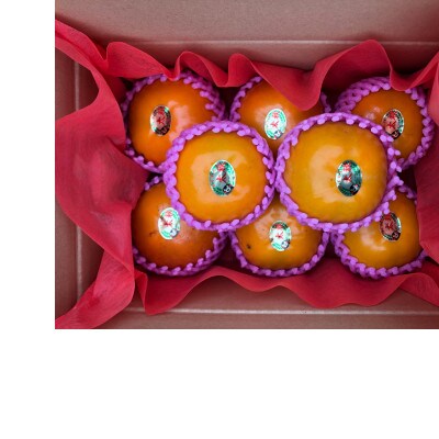 【家庭用】太秋柿 約3kg(3～4L大玉 8～9玉) | お礼品詳細 | ふるさと納税なら「さとふる」