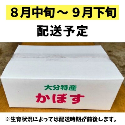 【先行受付】グリーン かぼす (2kg) | お礼品詳細 | ふるさと納税なら「さとふる」