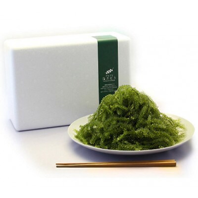 朝採れ!ぷちぷち海ぶどう400g | お礼品詳細 | ふるさと納税なら「さとふる」