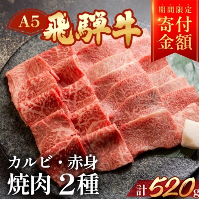 A5 飛騨牛 ミックスカルビ& A5飛騨牛もも赤身焼肉 520g(260g×2)【11-1012】 | 岐阜県下呂市 | ふるさと納税サイト「さとふる」
