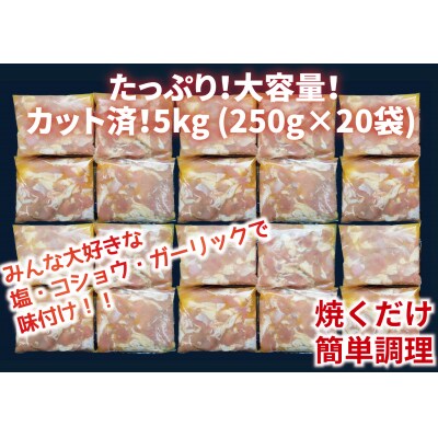カット済!味付き!若鶏小分けもも切身 5kg (250g×20袋) | 香川県善通寺市 | ふるさと納税サイト「さとふる」