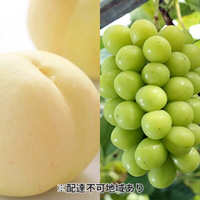岡山 白桃 ロイヤル 2玉・シャインマスカット [晴王] 1房 詰合せ [No.5735-1619] | お礼品詳細 | ふるさと納税なら「さとふる」