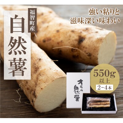 【福智町産】オラの自然薯(カットもの 550g以上) | 福岡県福智町 | ふるさと納税サイト「さとふる」